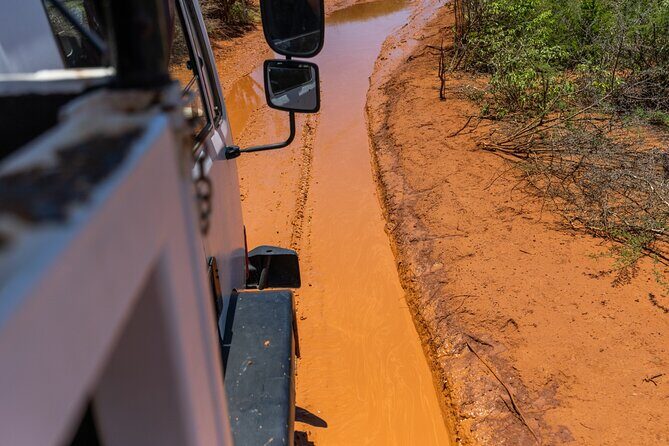 Snorkel Safari Tour - Final Thoughts