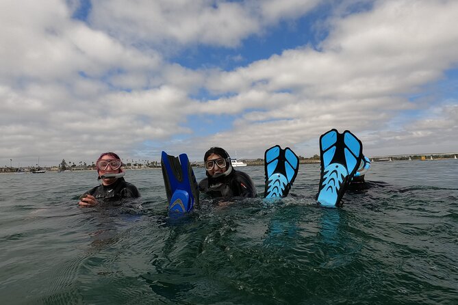 Snorkel San Diego's Mission Bay with a Marine Biologist - The Sum Up