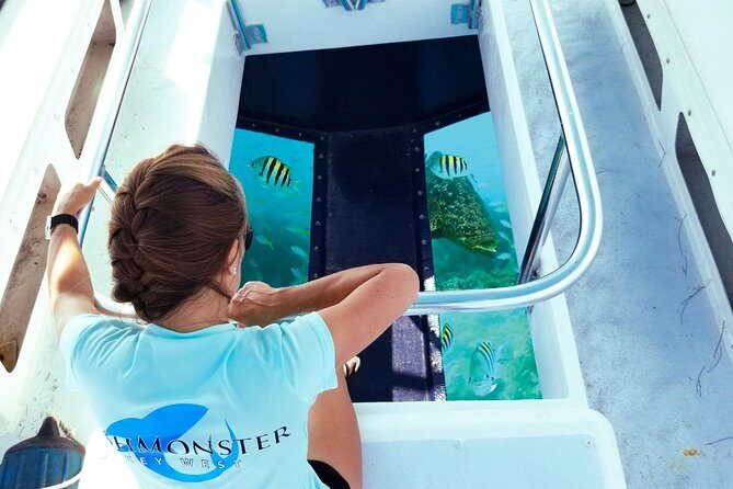 Snorkel, Sandbar & Dolphin Excursion - What Makes This Tour Stand Out?