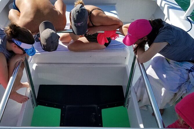 Snorkel, Sandbar & Dolphin Excursion - Final Thoughts: Is It Worth It?