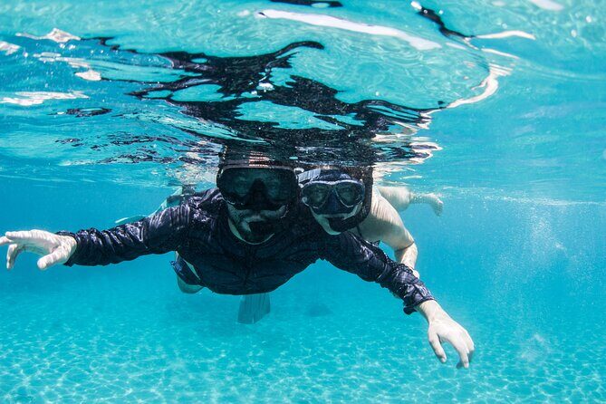 Snorkel Shore Trip with Scubaçao "East Point" - Key Points