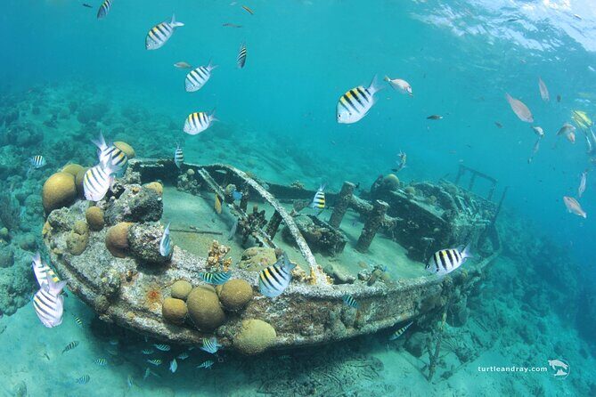 Snorkel Shore Trip with Scubaçao "East Point" - FAQ