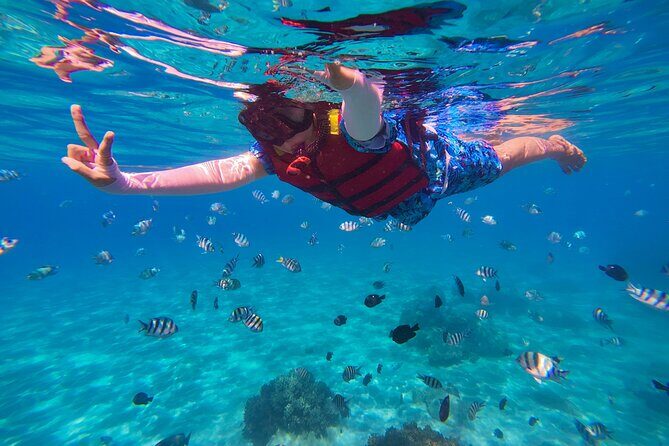 Snorkel St. John Tour from Sapphire and Margaritaville - What to Expect: A Day of Marine Magic and Island Stories