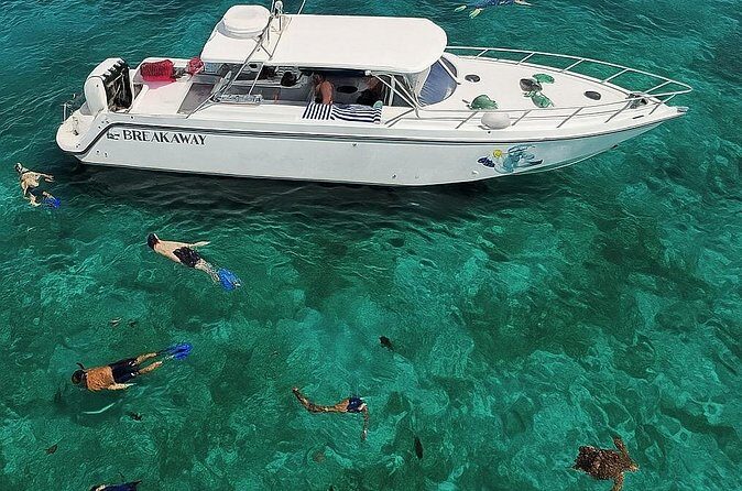 Snorkel St. John Tour from Sapphire and Margaritaville - The Balance of Value and Experience