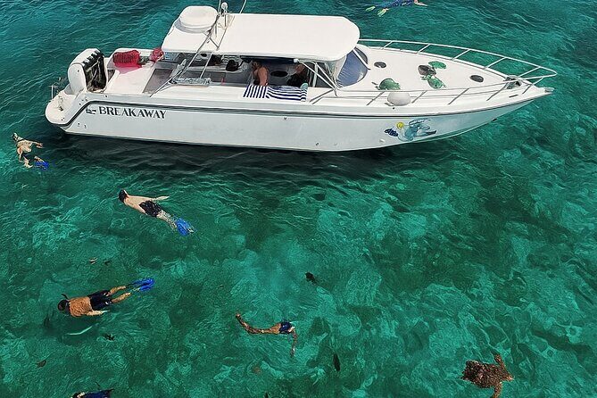 Snorkel St. John Tour from Sapphire and Margaritaville - Final Thoughts