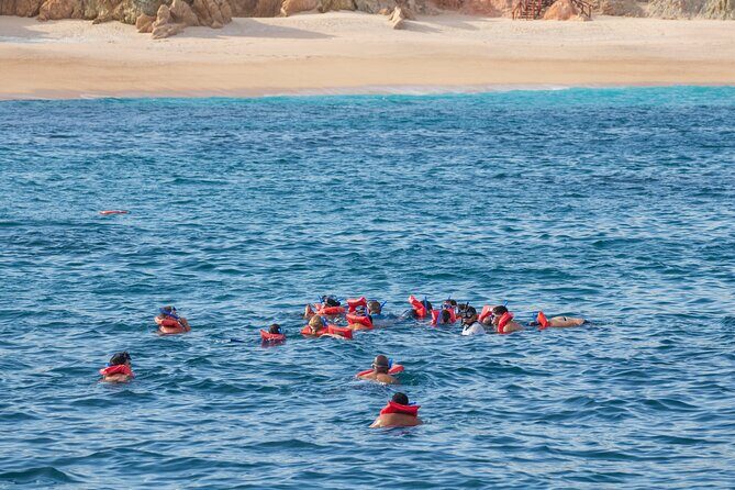 Snorkel & Sunset Sail in Cabo San Lucas - FAQs