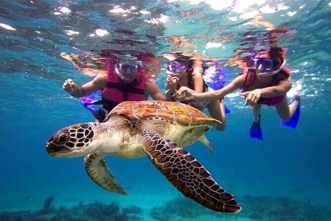 Snorkel, Swim & Snap-w/ Video - Exploring Puerto Rico’s Southeast: A Review of the Snorkel, Swim & Snap Tour