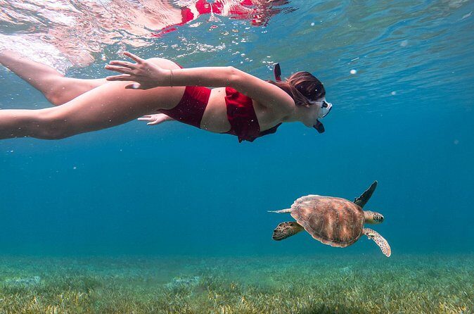 Snorkel, Swim & Snap-w/ Video - What the Reviews Tell Us