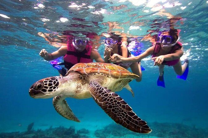 Snorkel, Swim & Snap-w/ Video - Final Thoughts