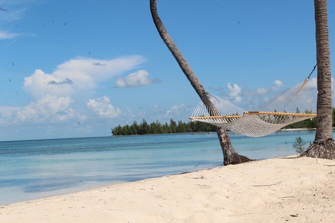 Snorkel/Swim with the Turtles Experience - Key Points