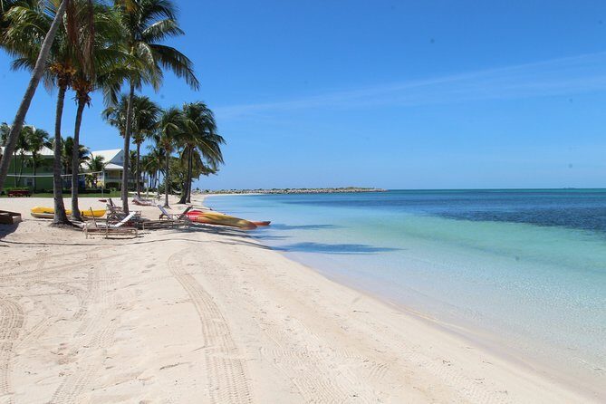 Snorkel/Swim with the Turtles Experience - FAQ