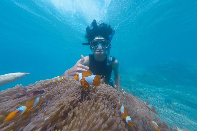 Snorkel the Beautiful Blue Lagoon - Key Points