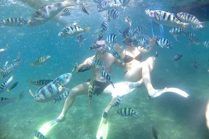 Snorkel the Beautiful Blue Lagoon - Introduction: Why This Tour Stands Out