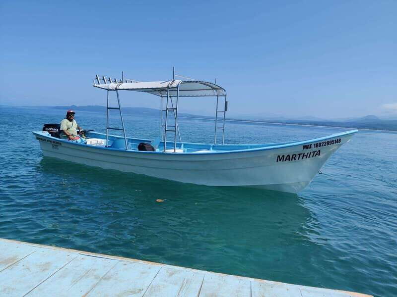 Snorkel to Playa del Toro departing from Sayulita : day at the beach - Frequently Asked Questions