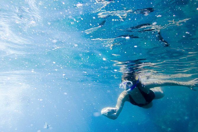 Snorkel Tour and Glass-Bottom Boat Ride in Cabo San Lucas - What the Tour Includes and What It Doesnt