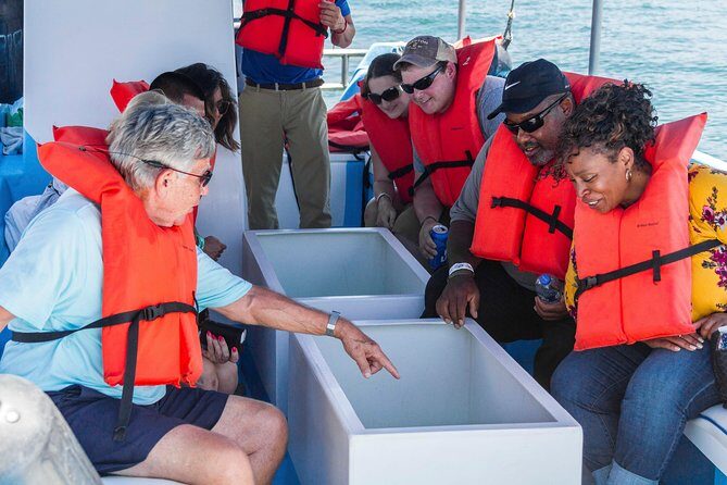 Snorkel Tour and Glass-Bottom Boat Ride in Cabo San Lucas - Pricing and Value