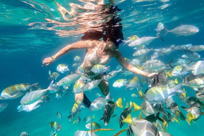 Snorkel Tour and Glass-Bottom Boat Ride in Cabo San Lucas - FAQs