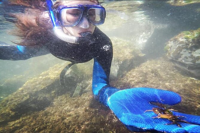 Snorkel Tour at Magic Island - The Value of This Snorkel Tour