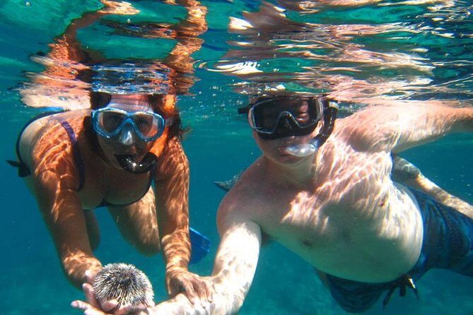 Snorkel Tour - Exploring the Snorkel Tour in St. Thomas: A Deep Dive into Caribbean Underwater Adventure