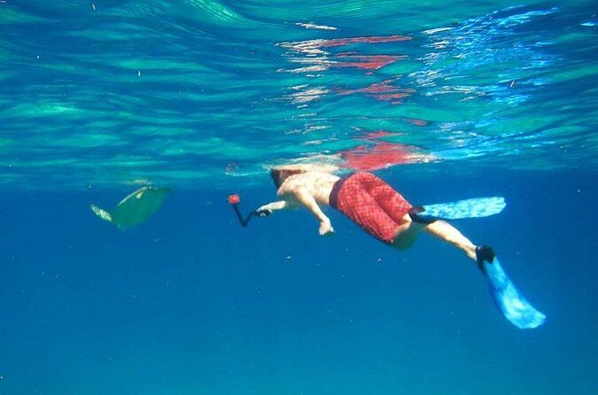 Snorkel Tour - Key Points