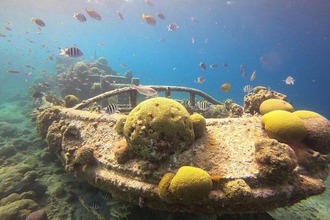 Snorkel Tour in Curacao - A Closer Look at Your Curacao Snorkeling Adventure