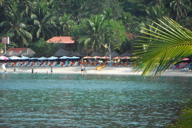 Snorkel Tour in Las Gatas Water Break - The Experience: What Travelers Say