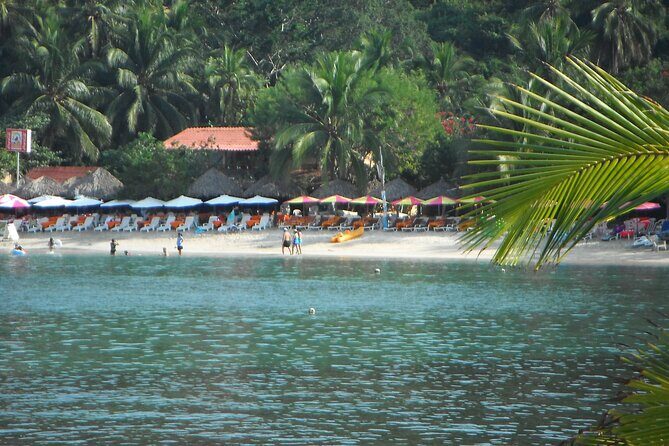 Snorkel Tour in Las Gatas Water Break - Practical Tips for Your Visit