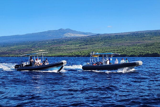 Snorkel Tour to Captain Cook Monument Kailua-Kona, Big Island - The Itinerary in Detail