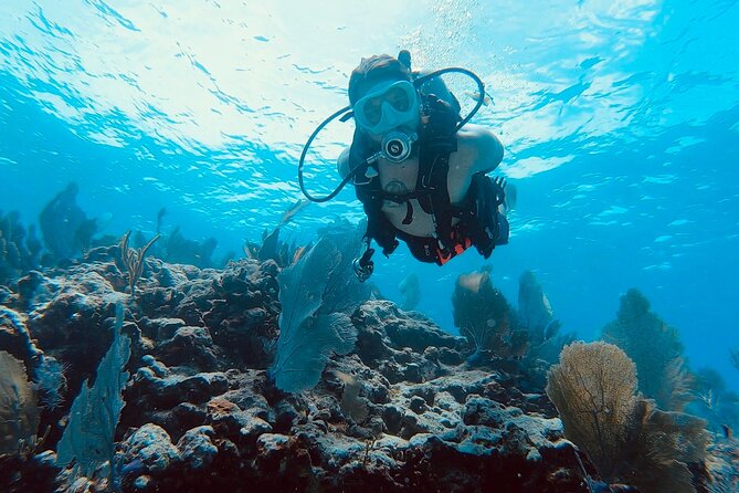 Snorkel Tour - Visit 2 Shallow Reefs John Pennekamp State Park - Safety and Participation Guidelines