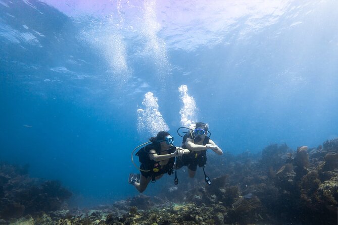 Snorkel Tour - Visit 2 Shallow Reefs John Pennekamp State Park - Customer Feedback and Experiences
