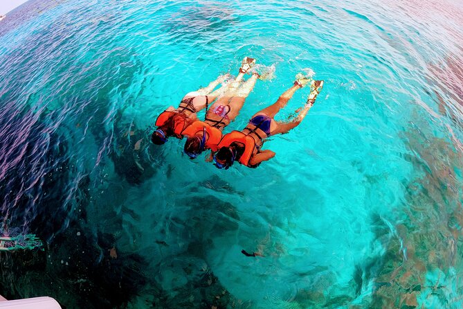 Snorkel Tour - Visit 2 Shallow Reefs John Pennekamp State Park - Contact Information for Inquiries