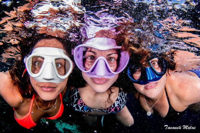 Snorkel tour Why not? - Key Points