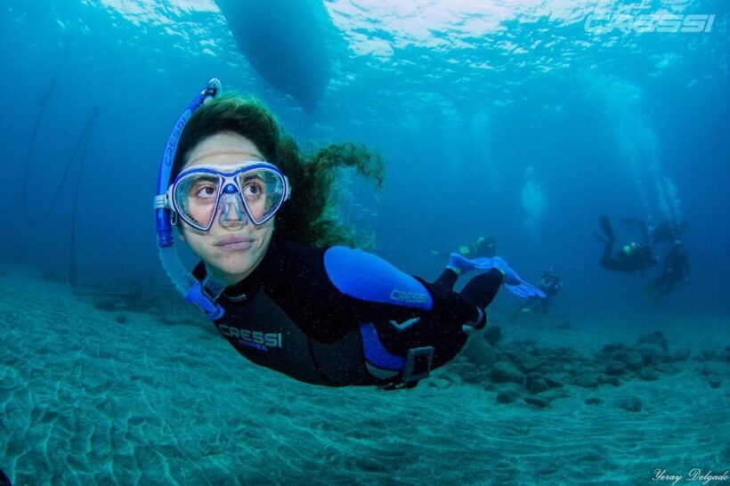 Snorkel tour Why not? - An Introduction to the Experience