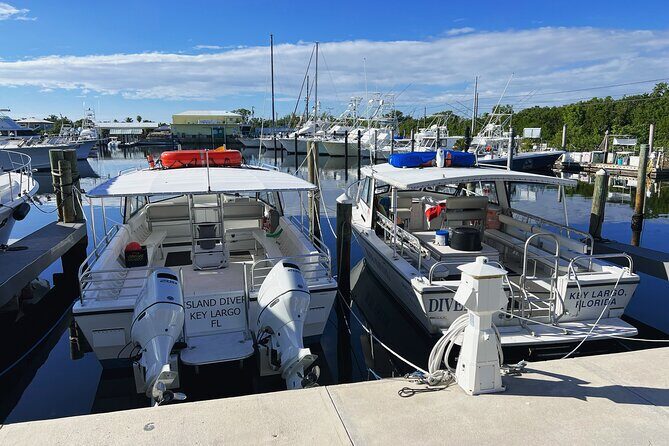 Snorkel Tours to Key Largo reef for up to 6 people-INCLUDES GEAR! - An In-Depth Look at the Snorkel Tour Experience