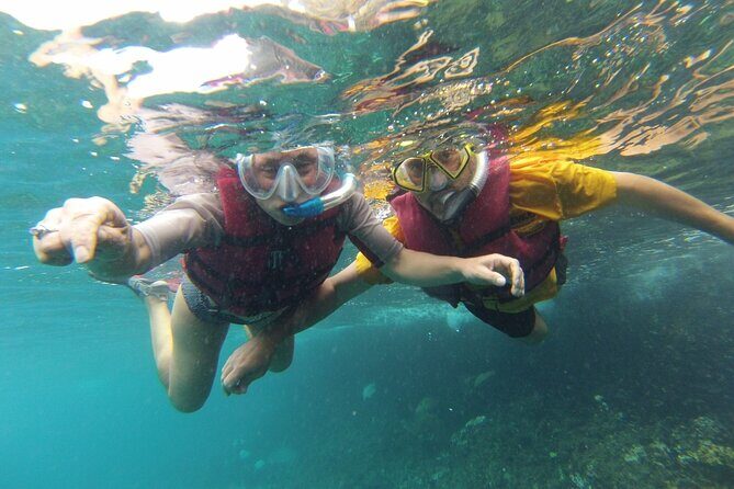 Snorkel trip + natural pool Bávaro - Who Should Consider This Tour?
