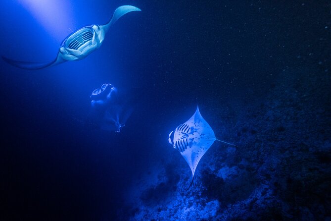 Snorkel With Giant Manta Rays In Kailua Kona - FAQ