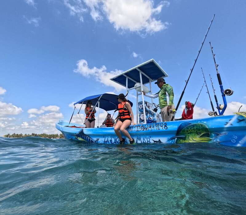 snorkel with tropical fish, reefs, and in search of turtles - The Experience: What to Expect