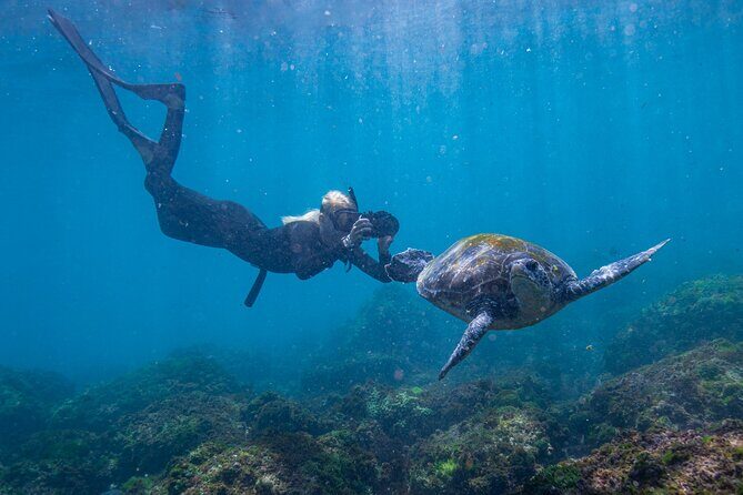 Snorkel with Turtles Gold Coast - The Itinerary: What to Expect from Start to Finish