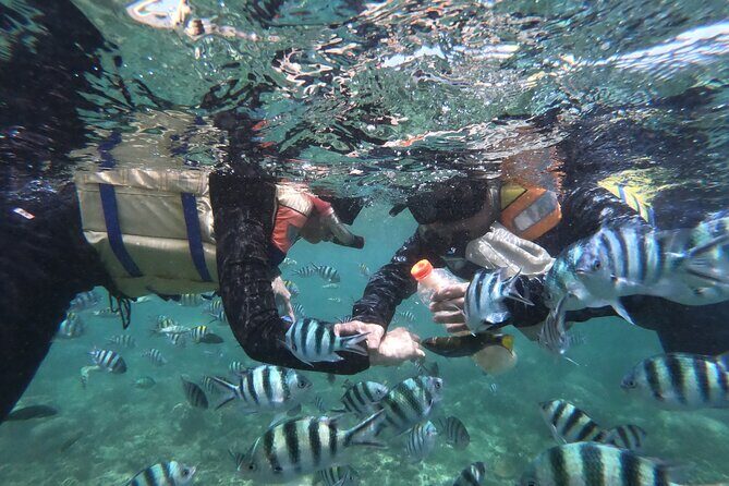 Snorkeling 3 Gili West Lombok Daily Tour (Gili Nanggu, Gili Sudak, Gili Kedis) - The Itinerary in Detail