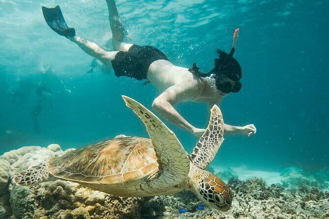 Snorkeling 3 Spots with GoPro & West Coast Tour Nusa Penida - What We Love & What to Consider
