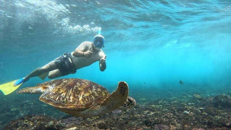 Snorkeling Activities + Western Side Nusa Penida Tour - Final Thoughts