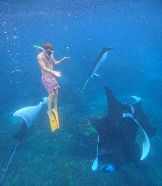 Snorkeling Activities + Western Side Nusa Penida Tour - FAQs