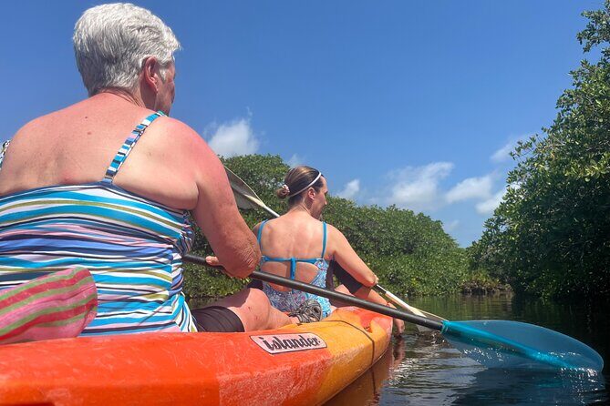 Snorkeling Activity in a Cenote Expedition - The Sum Up: Who Should Consider This Tour?