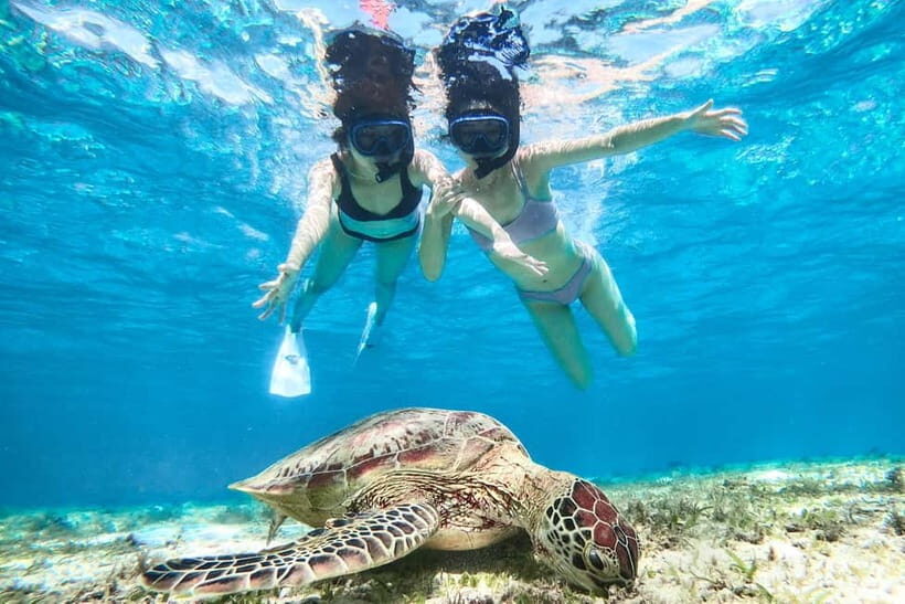 Snorkeling Activity in Okinawa Miyako Japan - Key Points