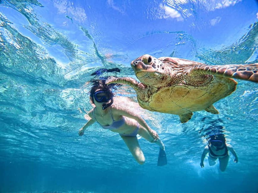 Snorkeling Activity in Okinawa Miyako Japan - The Itinerary: What to Expect from Start to Finish