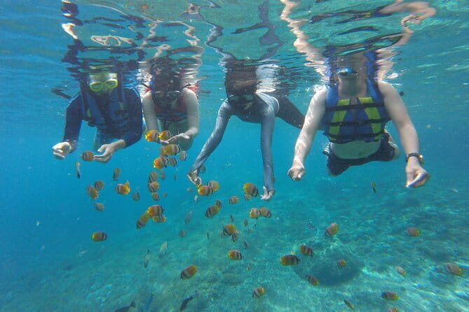 Snorkeling Activity Trip at Nusa Penida - An In-Depth Look at the Snorkeling Experience
