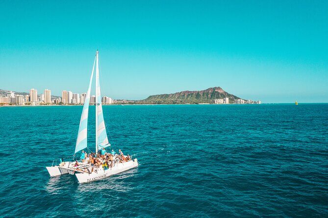 Snorkeling Adventure at Turtle Canyon - An In-Depth Look at the Turtle Canyon Snorkeling Tour