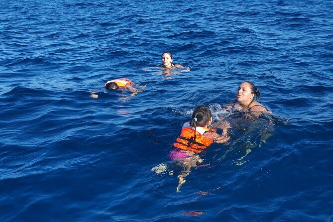 snorkeling adventure - Why This Tour Might Be Perfect for You