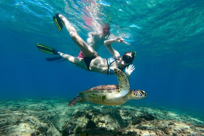 Snorkeling Adventure in Aguadilla - A Snorkeling Adventure in Aguadilla: An Authentic Underwater Experience