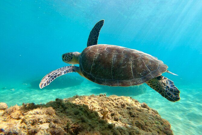 Snorkeling Adventure in Aguadilla - FAQ